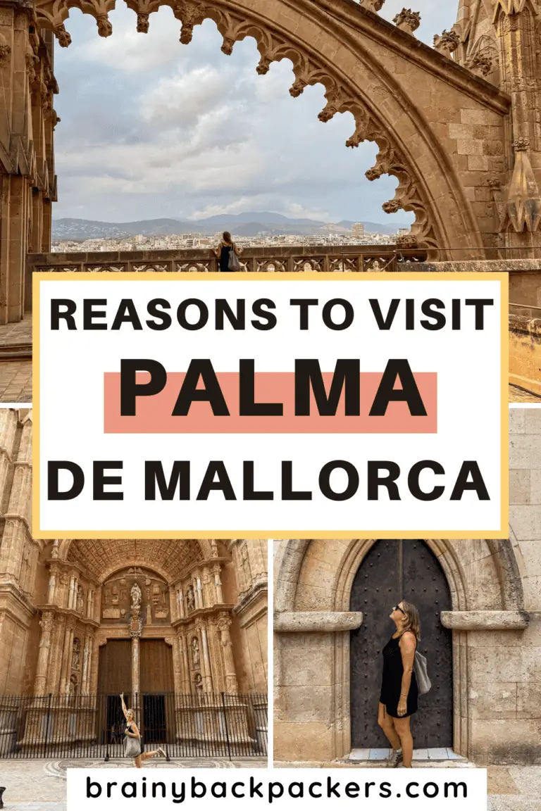 Is Palma de Mallorca Worth Visiting? Reasons To Visit and Not - Brainy ...